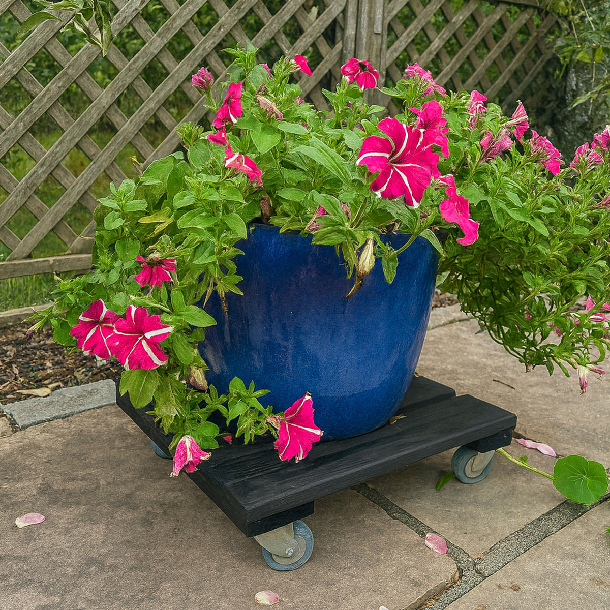 Heavy Duty Wooden Plant Pot Trolley Stand with Swivel Wheel Black ...